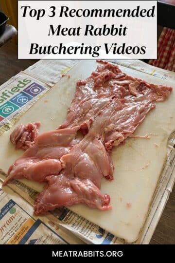 Top 3 Recommended Meat Rabbit Butchering Videos - Meat Rabbits