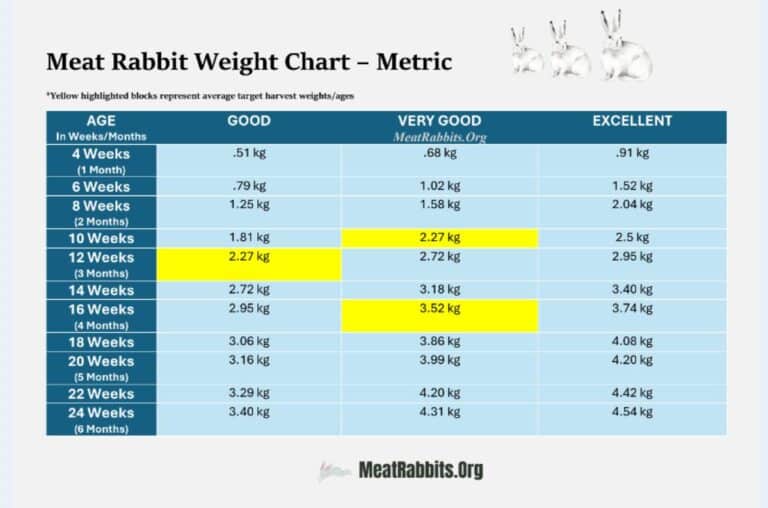 Free Downloadable METRIC Meat Rabbit Weight Chart - Meat Rabbits