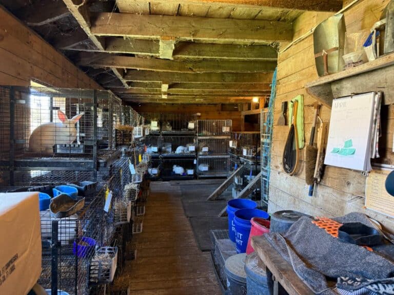 Reducing Plastic Use in the Rabbitry: Alternative Products and ...
