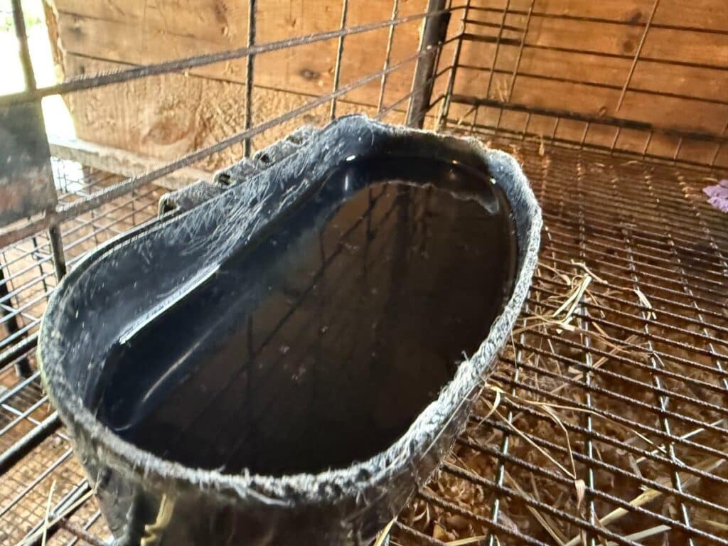 Water: The Most Important Nutrient for Meat Rabbits - Meat Rabbits