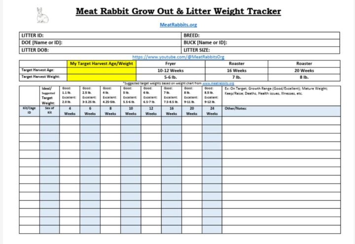 FREE DOWNLOAD! Meat Rabbit Weight Tracker and Litter Record - Meat Rabbits